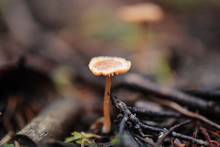 Patterns and Predictability – Yea Yea Pueblo